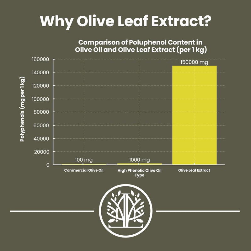 Levantine – Levantine Goods