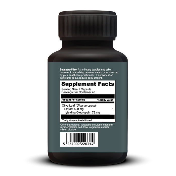 Levantine – Levantine Goods